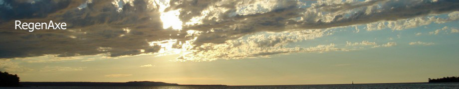 Cloudy Sunset | RegenAxe