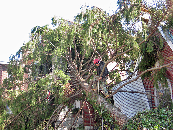 Teardown and Cleanup | RegenAxe