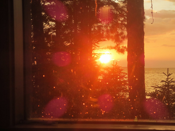 Home Again | RegenAxe