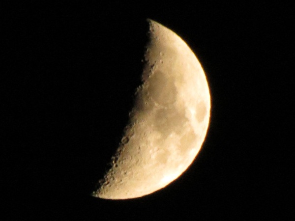 First Quarter Moon | RegenAxe