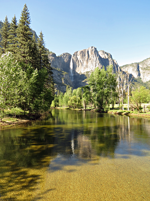 No Eye Deer | RegenAxe