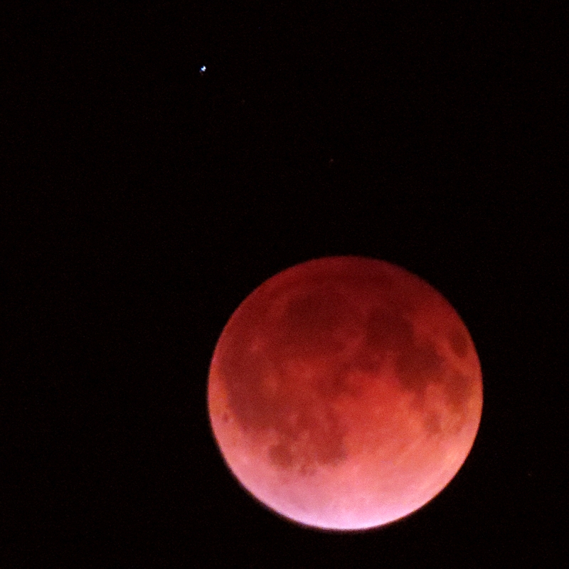 Blood Moon | RegenAxe