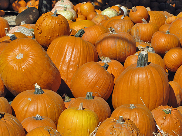 Happy Halloween! | RegenAxe