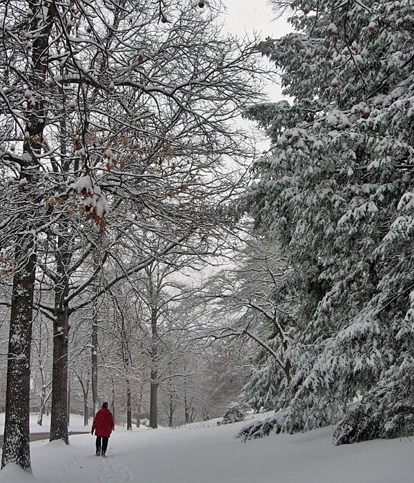Anne’s Snowy Saturday Morning Walk | RegenAxe