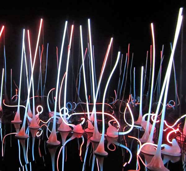 The Glass Forest | RegenAxe