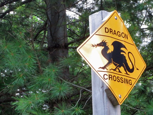 Dragon Crossing | RegenAxe