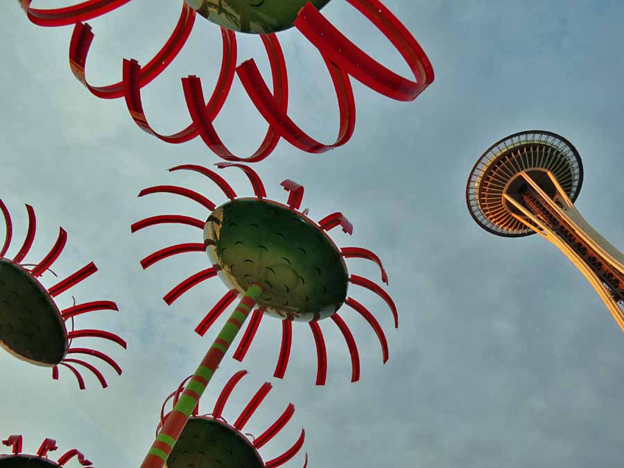 Sonic Bloom | RegenAxe