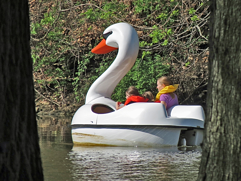 Swan Pedal Boat | RegenAxe