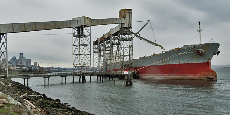 The Atlantic Hawk with Downtown Seattle in the Background | RegenAxe