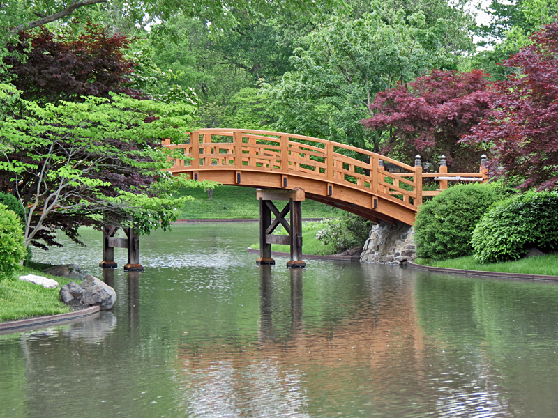 New Japanese Bridge | RegenAxe