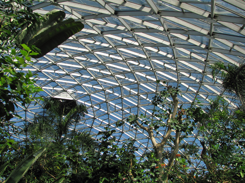 Climatron | RegenAxe