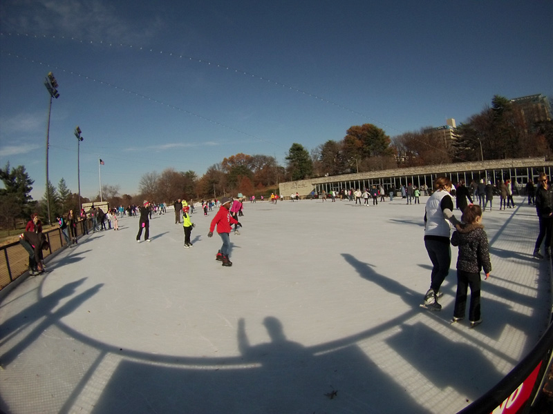 They Just Won’t Go Away | RegenAxe