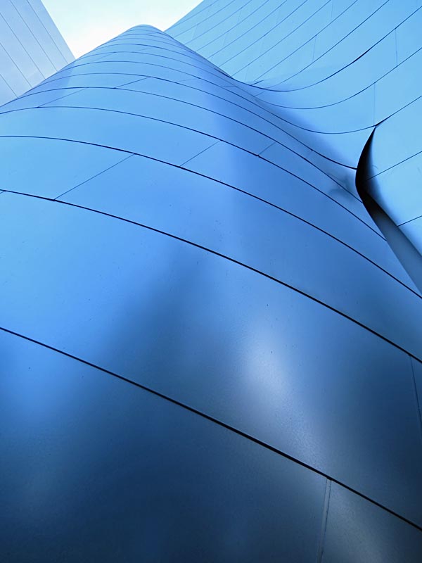 Walt Disney Concert Hall | RegenAxe