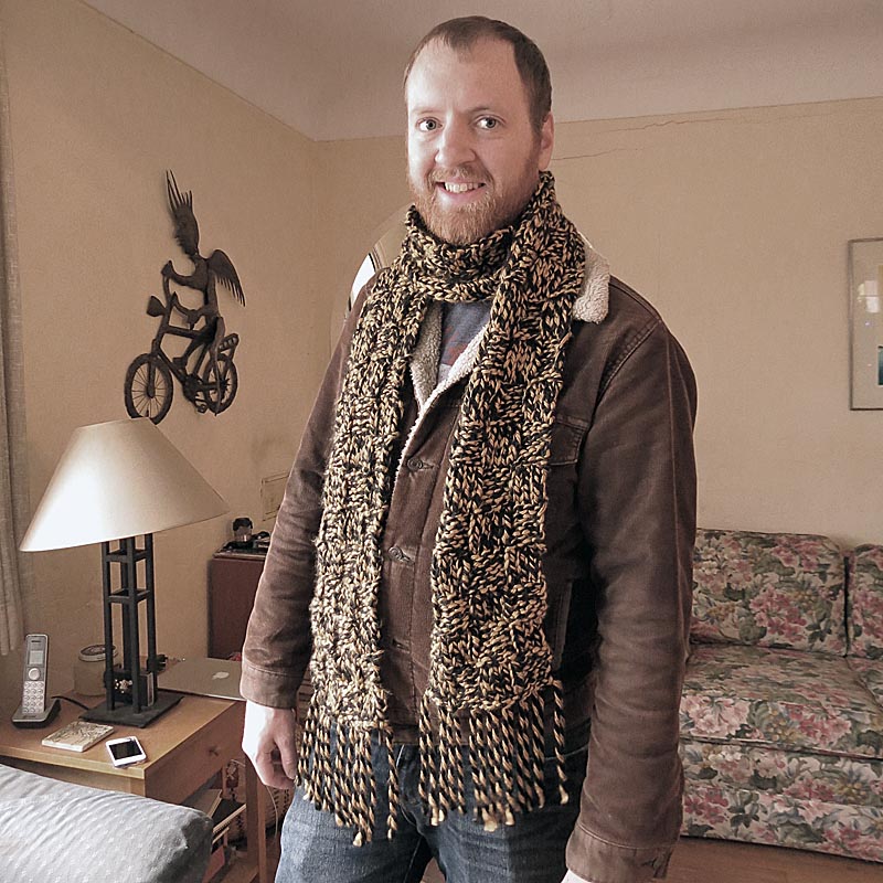 Dave’s New Purdue Scarf | RegenAxe