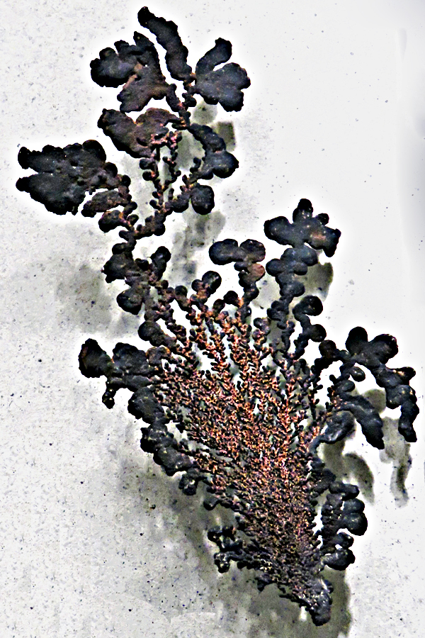 Copper Flower | RegenAxe