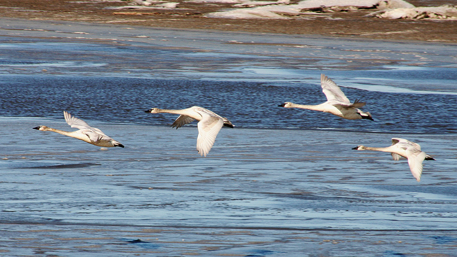 How Cold Is It? | RegenAxe