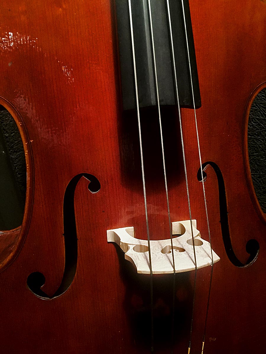 Elizabeth’s Viola | RegenAxe