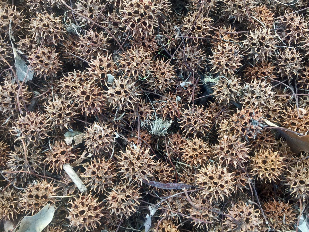 Fairy Maces | RegenAxe