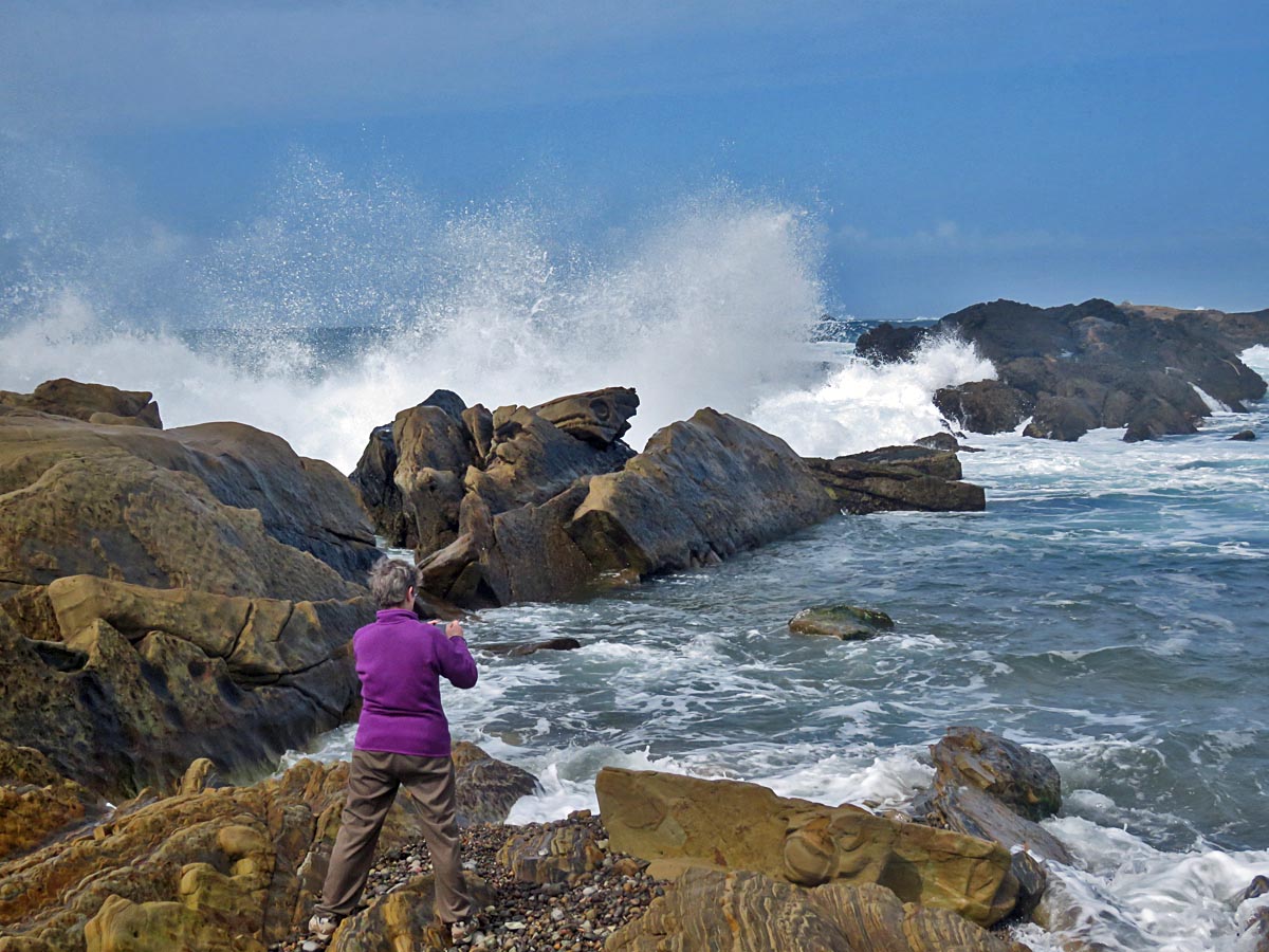 Surf’s Up at Point Lobos | RegenAxe