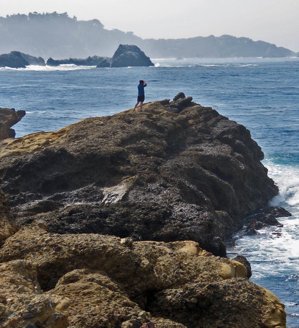 Dan at Point Lobos | RegenAxe