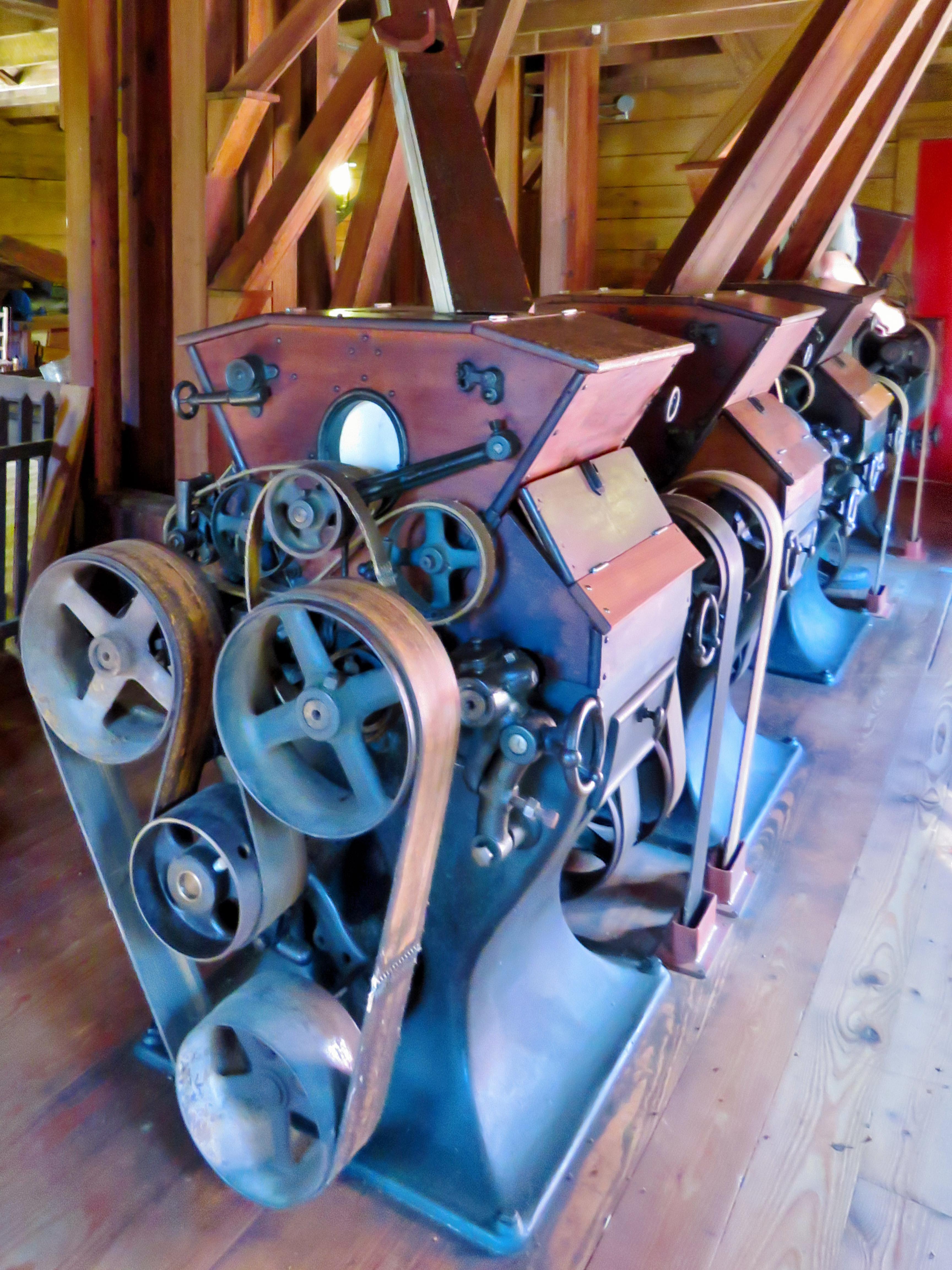 Alley Springs | RegenAxe