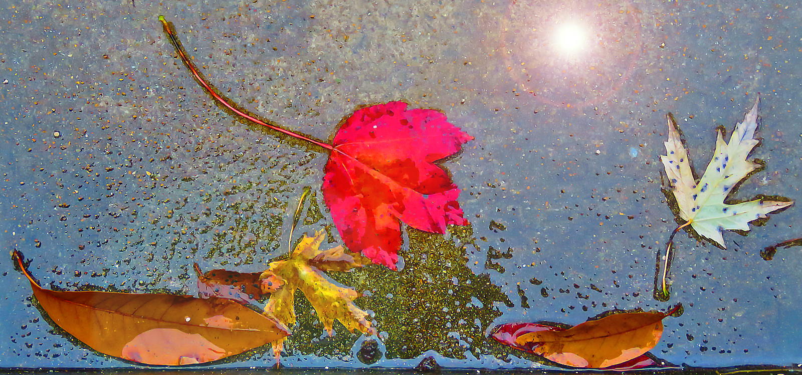 Wet Step, Wet Day, Fly Away | RegenAxe