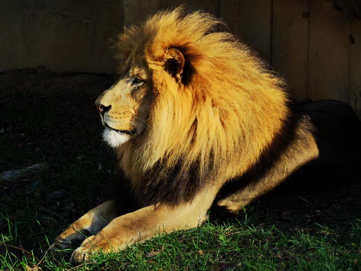 Fun Friday | RegenAxe