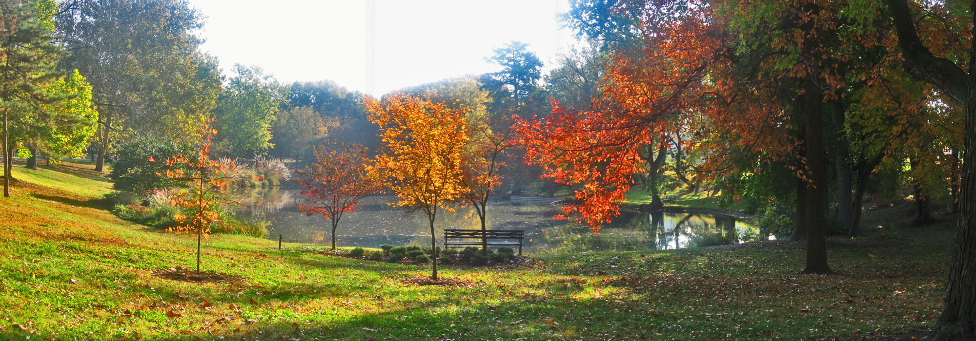 Murphy Lake in Forest Park | RegenAxe