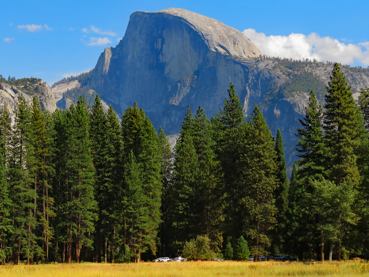 Half Dome | RegenAxe