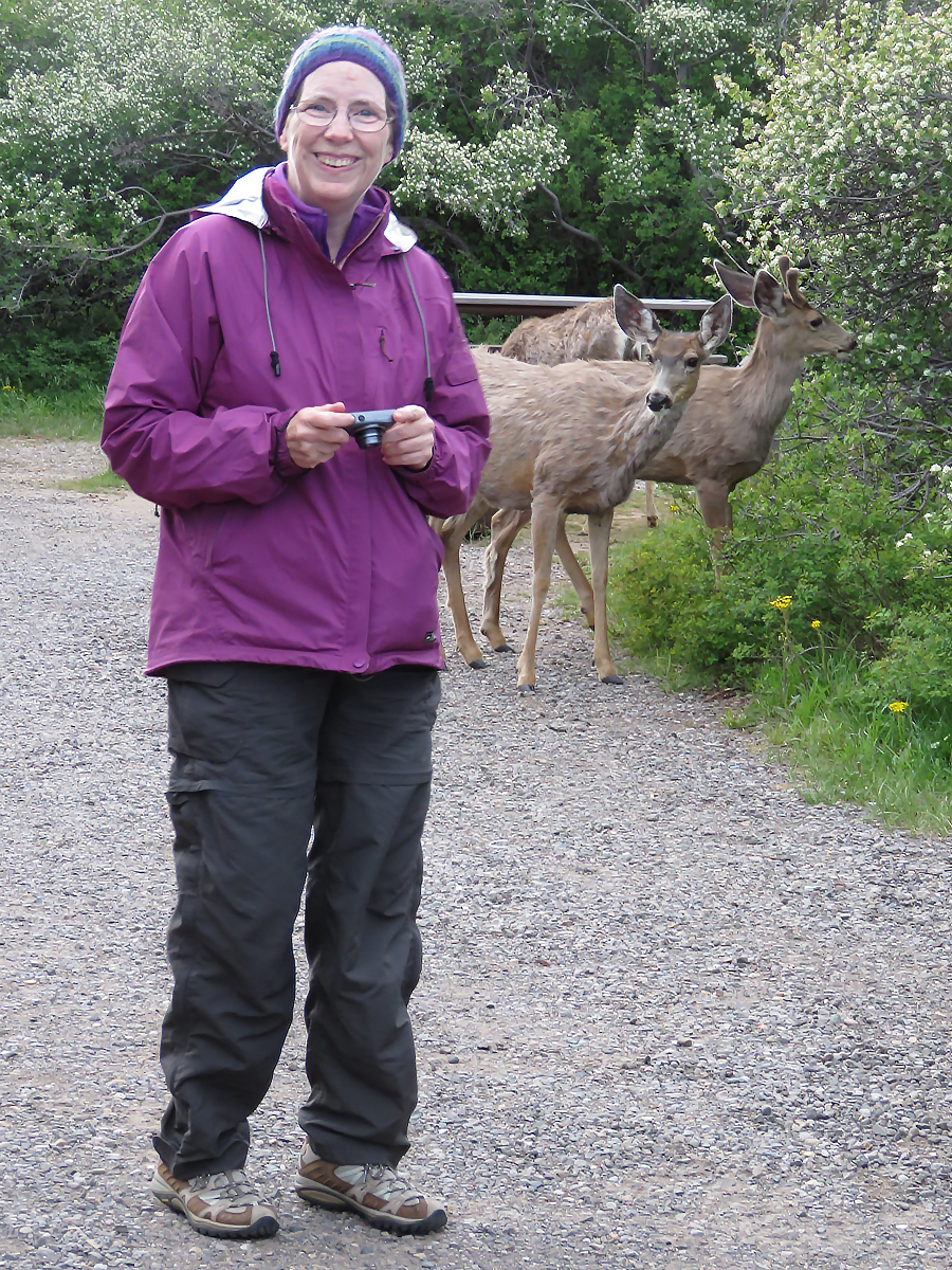 Oh, Deer! | RegenAxe