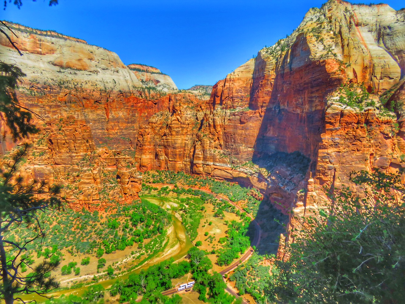 The Vertical Land | RegenAxe