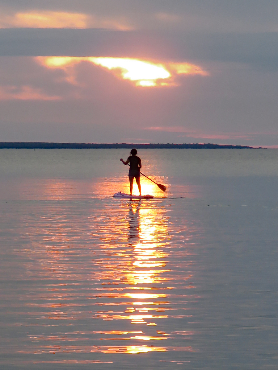 Paddle-boarder at Sunset | RegenAxe