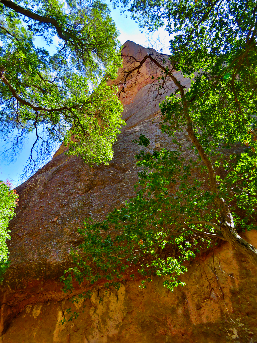 Pinnacles | RegenAxe