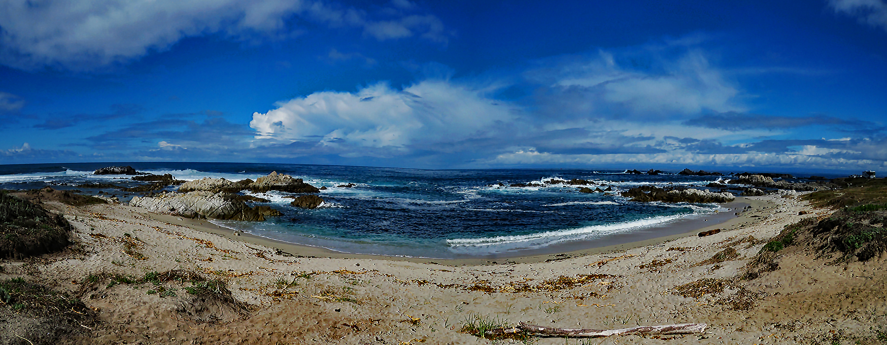 Asilomar Surf and Storm | RegenAxe
