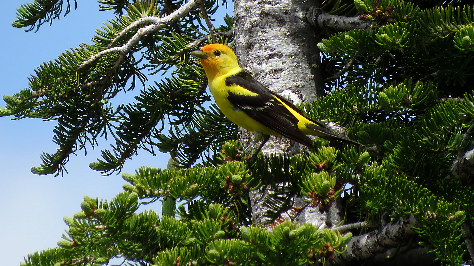 We’re Back! | RegenAxe