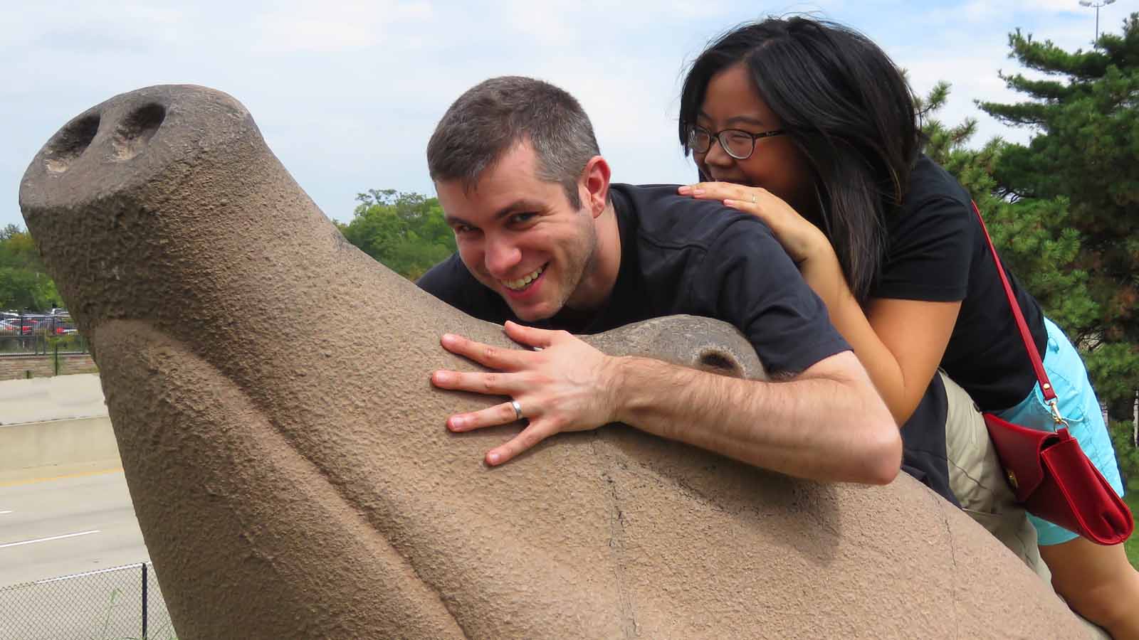 Turtle Park | RegenAxe