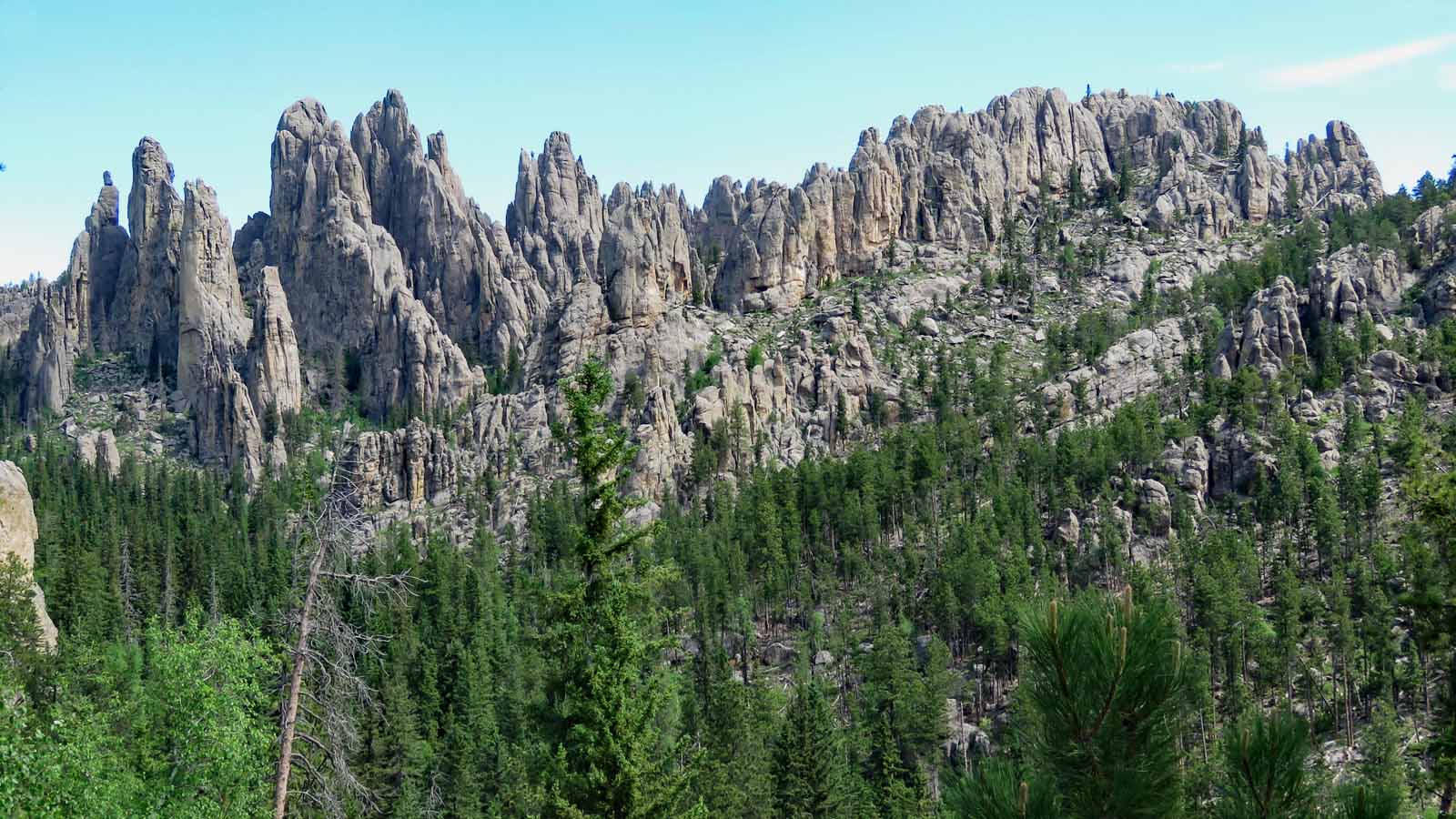 The Needles | RegenAxe