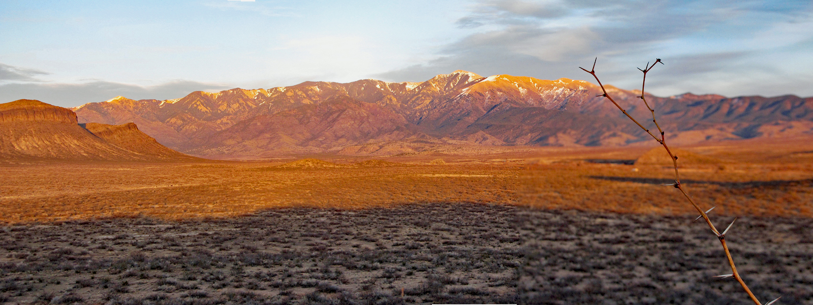 San Andres Mountains | RegenAxe