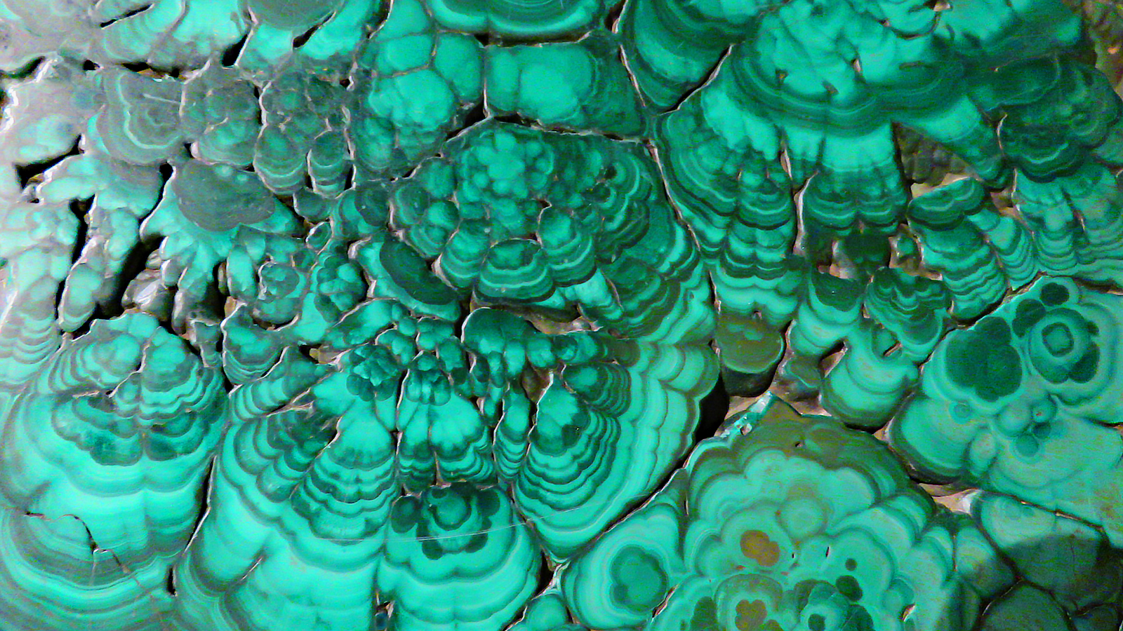 Malachite | RegenAxe