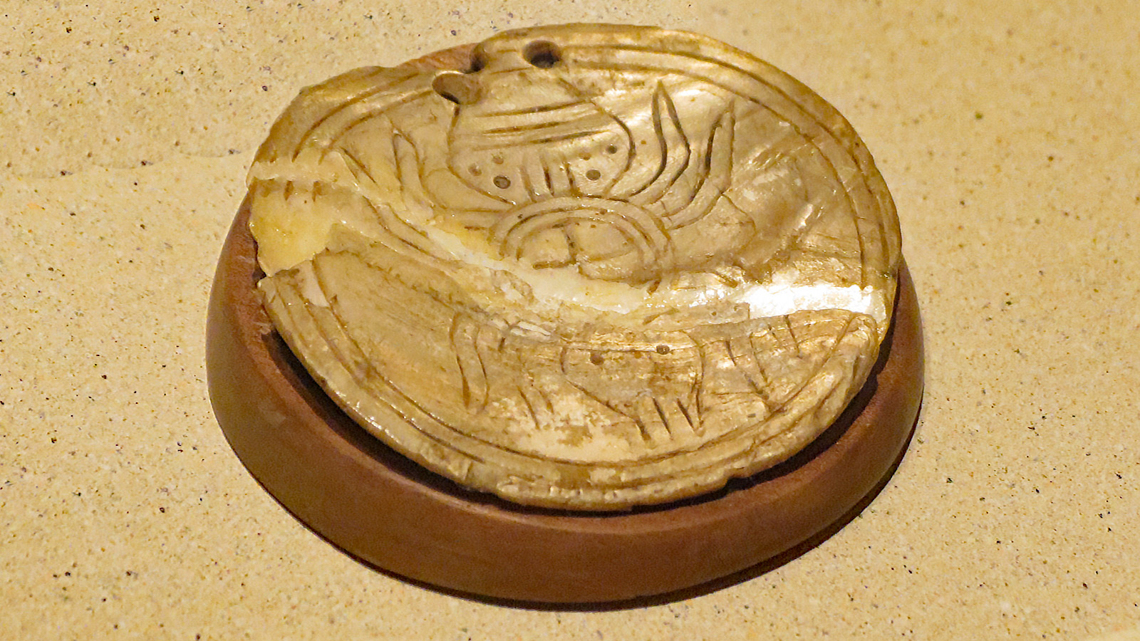 Spider Gorget | RegenAxe