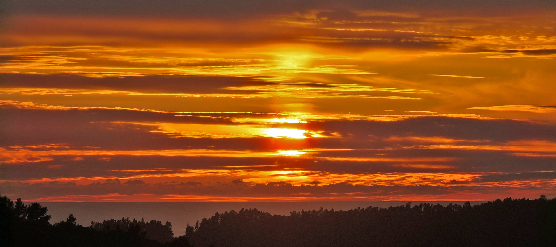 Pacific Sunset | RegenAxe