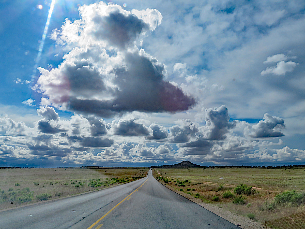 Open Road | RegenAxe