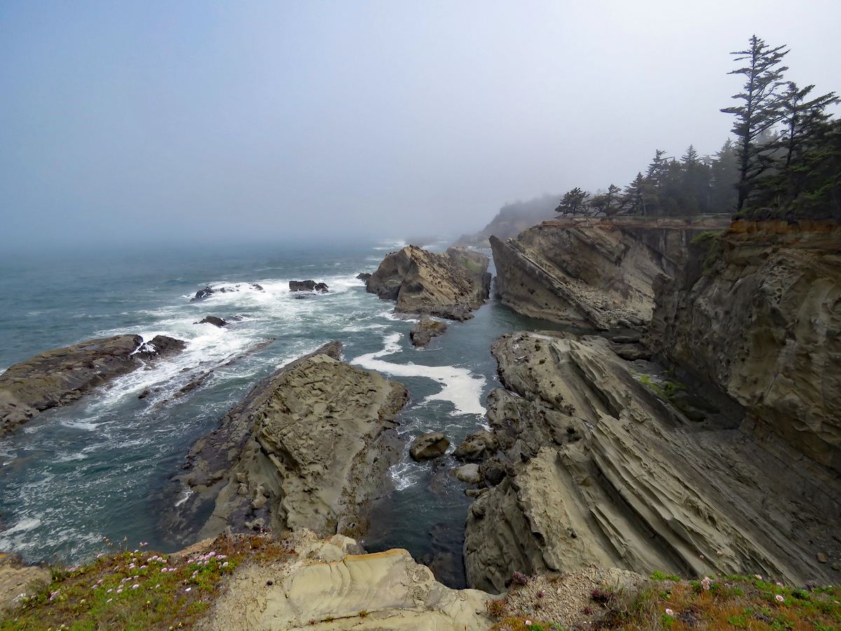 Shore Acres Coast | RegenAxe