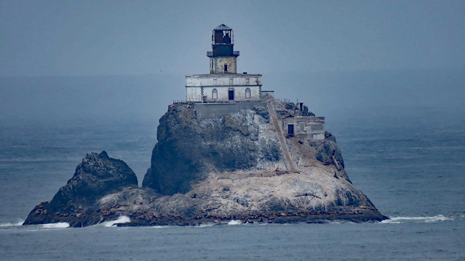 Terrible Tilly | RegenAxe