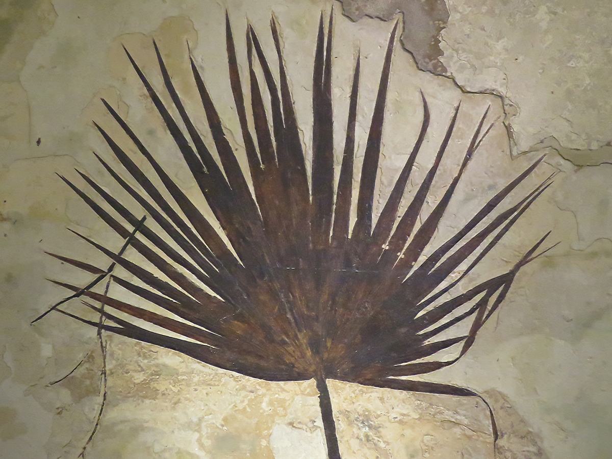 Palm Tree Leaf | RegenAxe