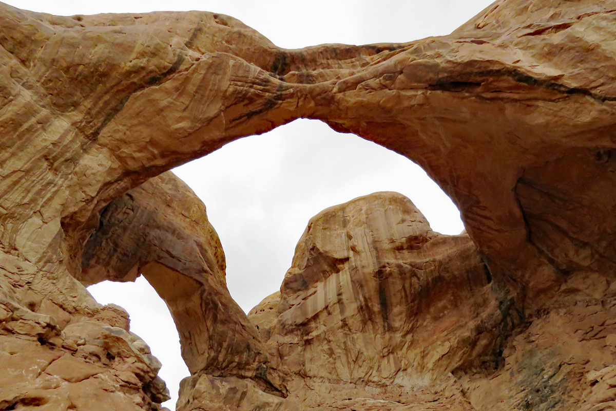 Double Arch | RegenAxe