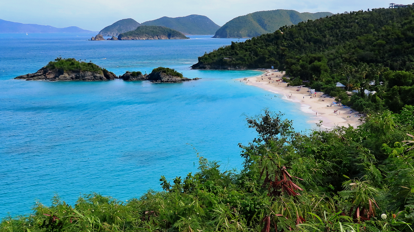 Trunk Bay | RegenAxe