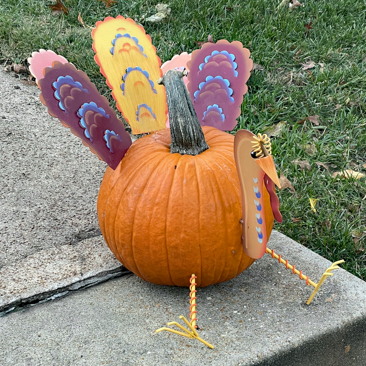 Pumpkin-Turkey | RegenAxe