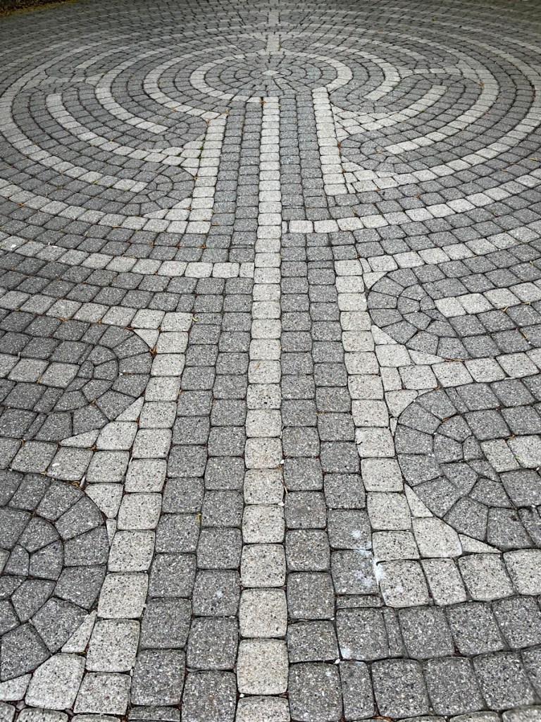 Cancer Maze | RegenAxe