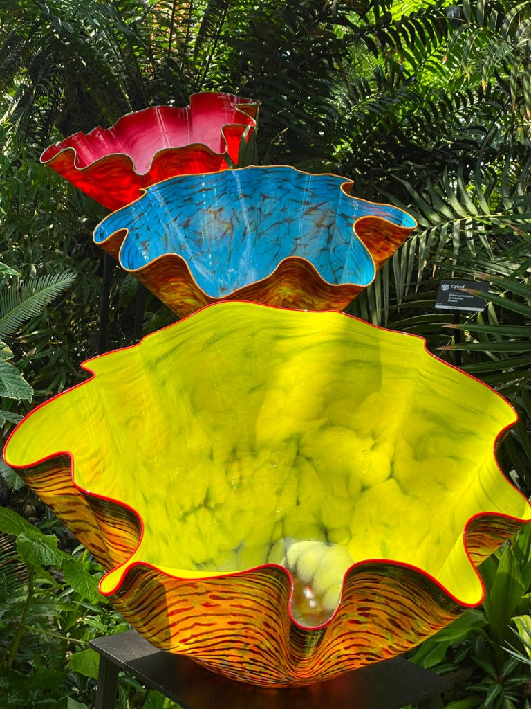 Macchia Forest | RegenAxe